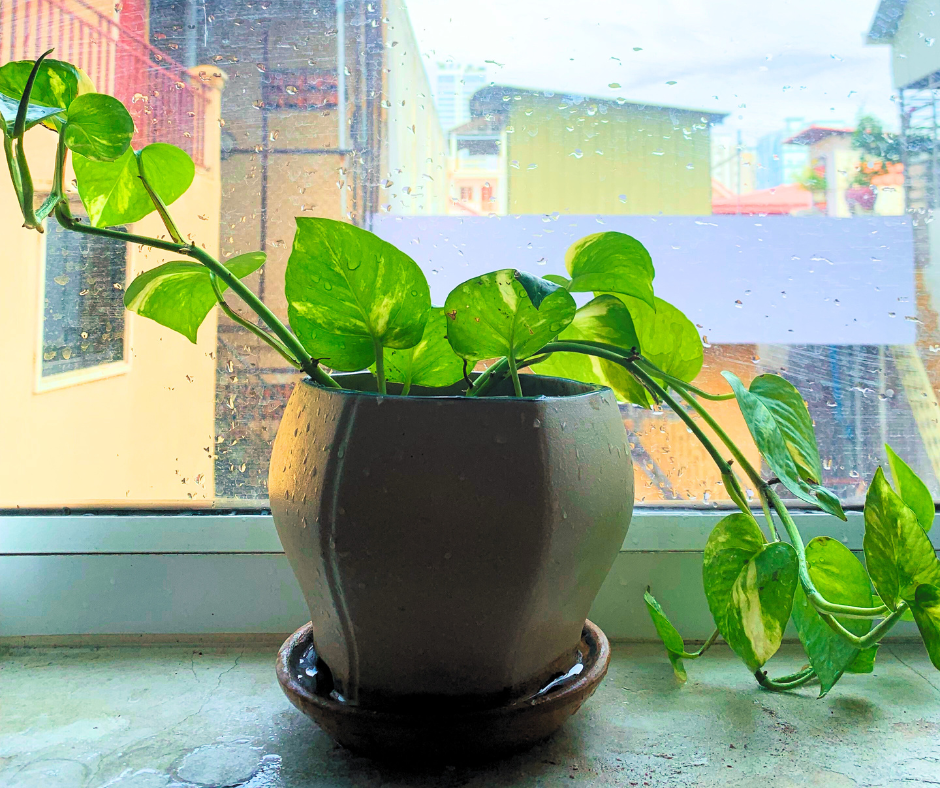 Homepage - Jasper Kim