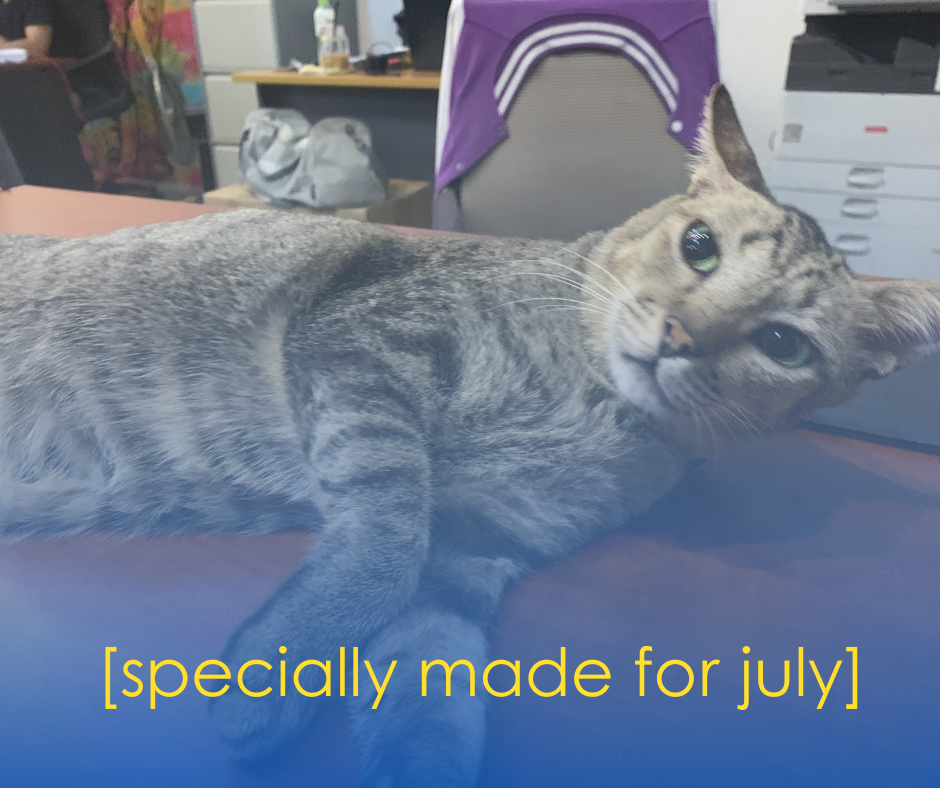 Homepage - Jasper Kim